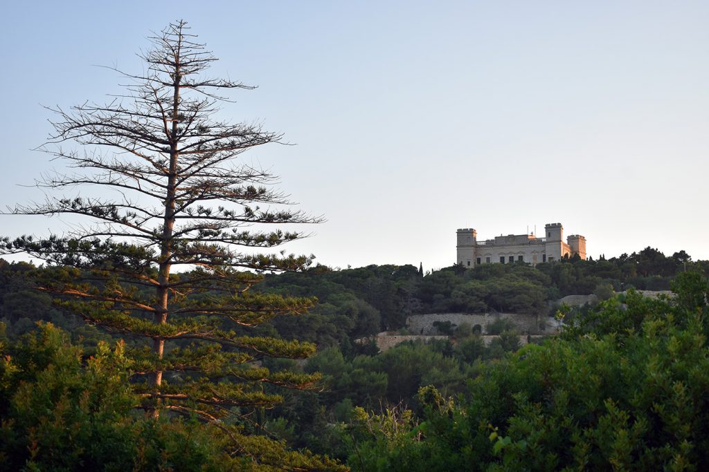 Verdala Palace – Savio College – Dingli – Malta